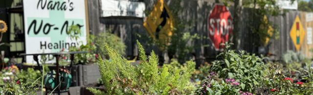 Natural Products for a Healthier You: Inside Happy Hippy Haus – Happy ...